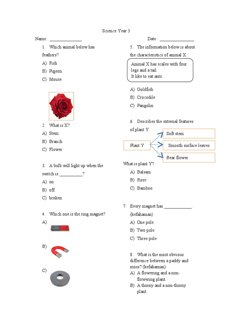 Science Year 3 | PDF