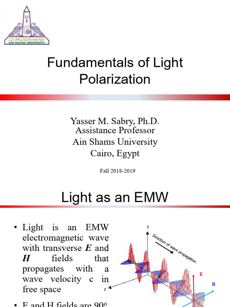 Fundamentals of Light Polarization | PDF | Polarization (Waves) | Waves