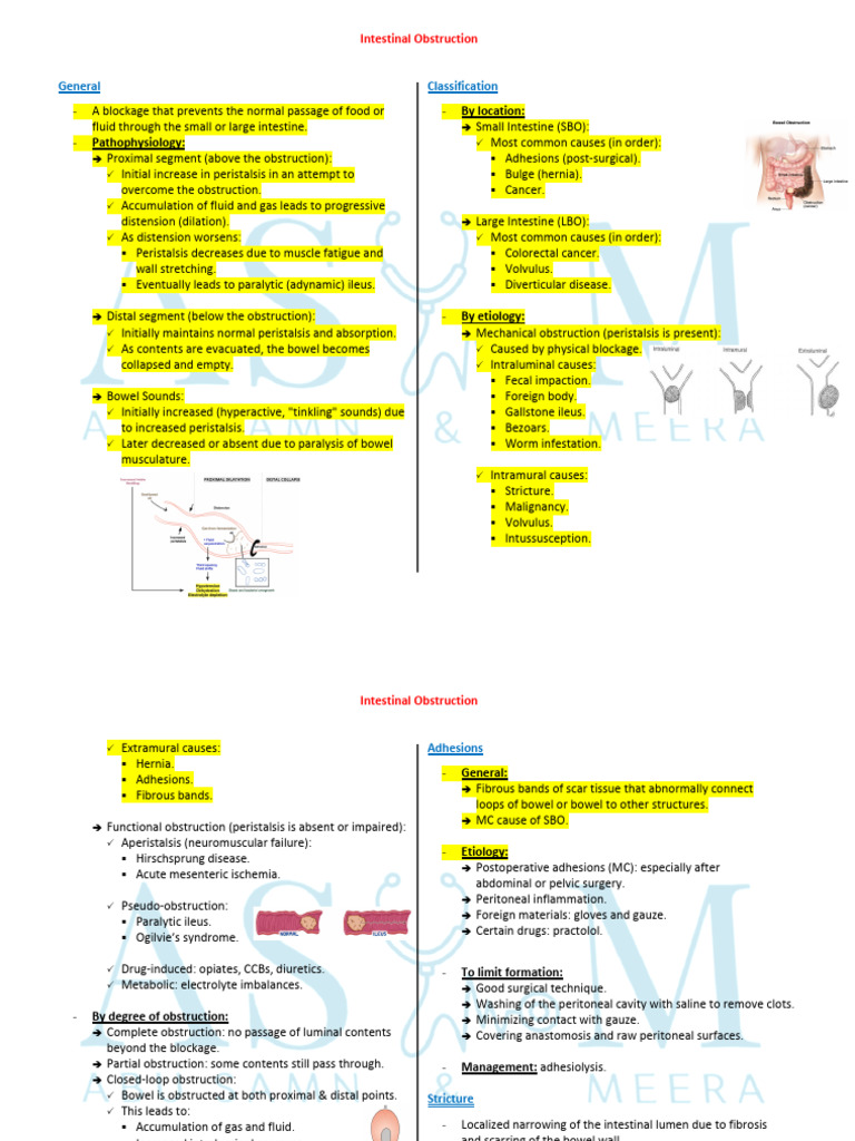 5. Intestinal Obstruction | PDF | Gastroenterology | Clinical Medicine