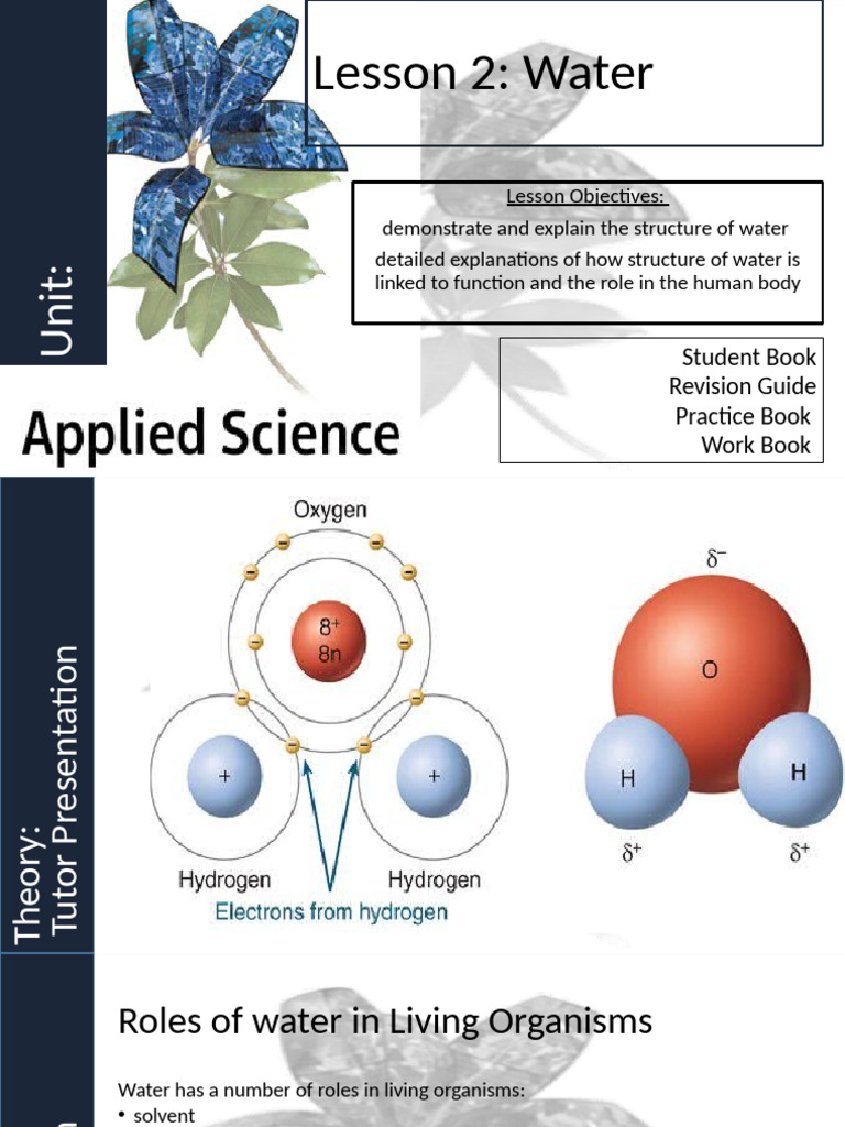 Lesson 1 - Water Structure and Function | PDF | Water | Solvation