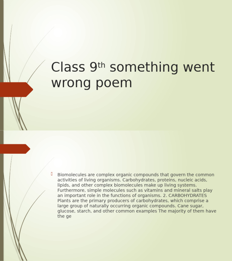 Class 9th Something Went Wrong Poem | PDF