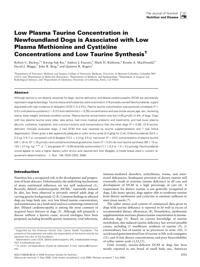 Low Plasma Taurine Concentration in Newfoundland Dogs Is Associated ...