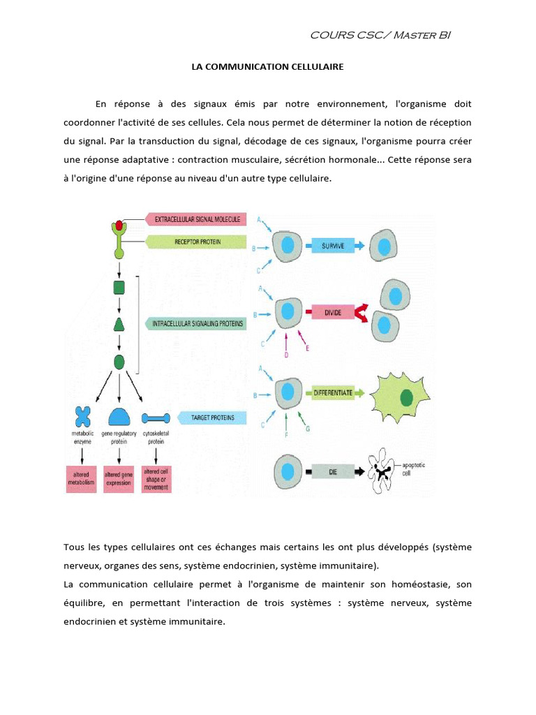 Communication cellulaire et hormones | PDF | Signalisation cellulaire ...