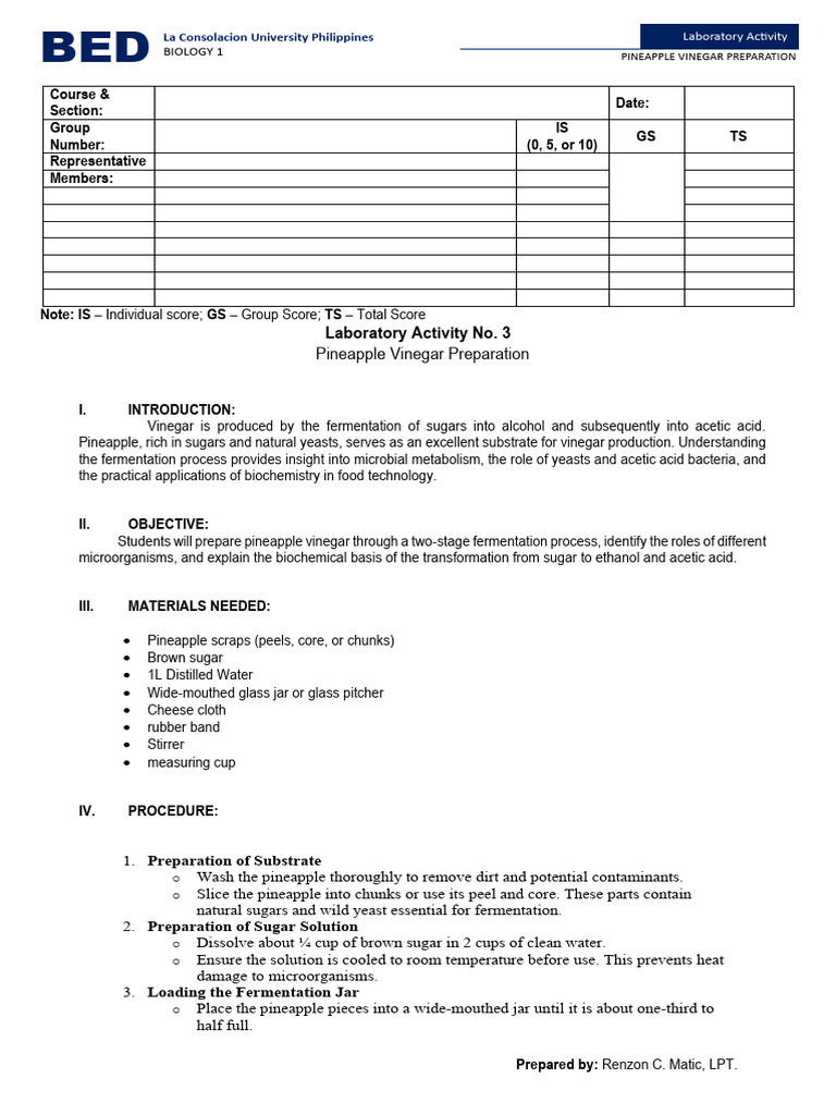 Laboratory Sheet Fermentation | PDF | Vinegar | Fermentation