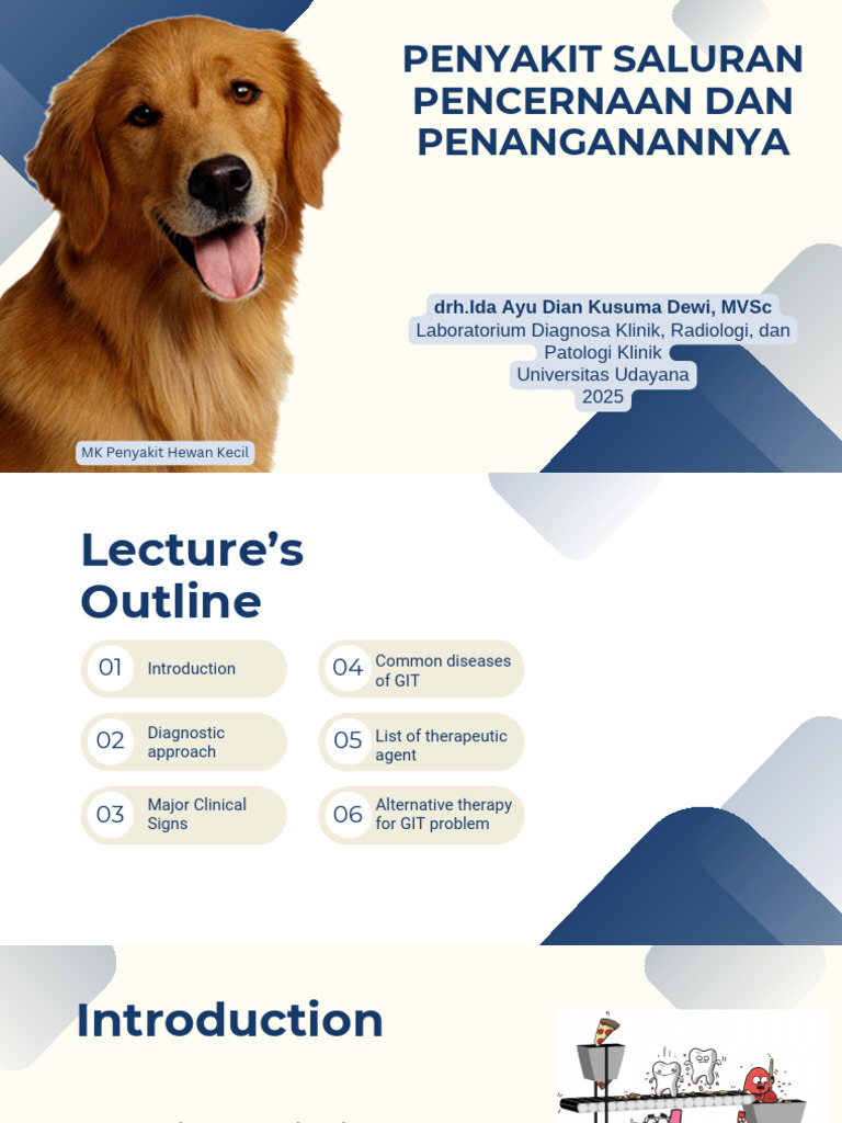 MKE Penyakit Saluran Pencernaan Dan Penanganannya | PDF | Diarrhea ...