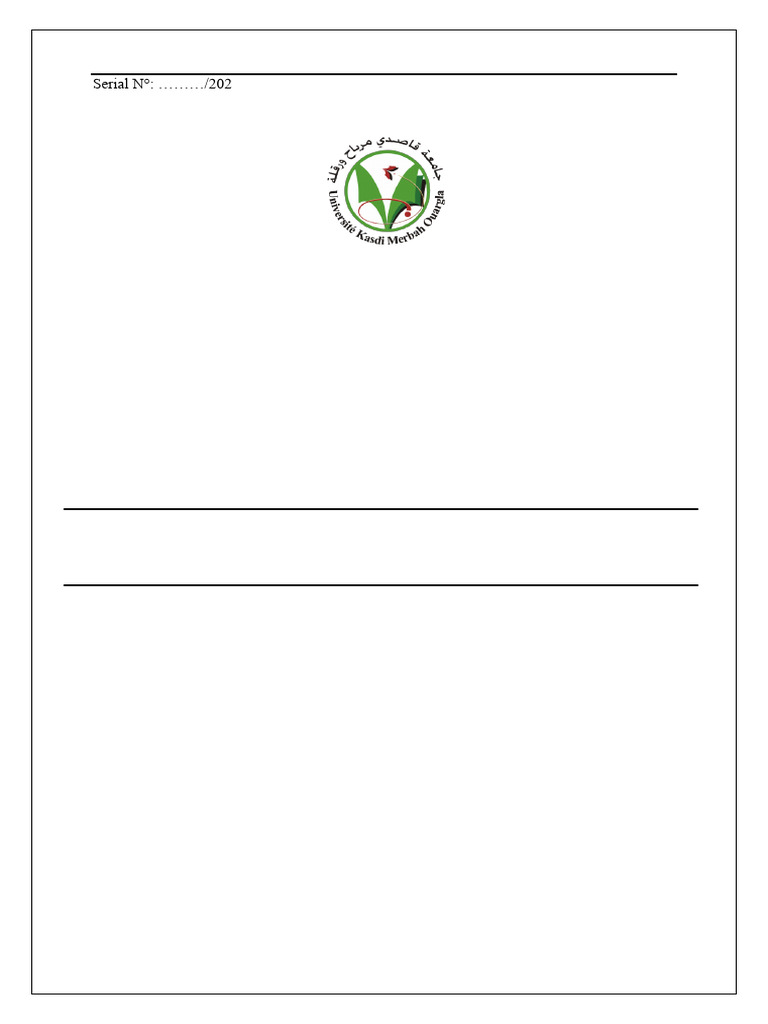 Seddiki Abdellah+ Bouchourab Anis | PDF | Pump | Liquids