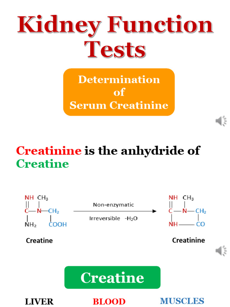 Serum Creatinine Determination Guide | PDF | Creatinine | Medical ...