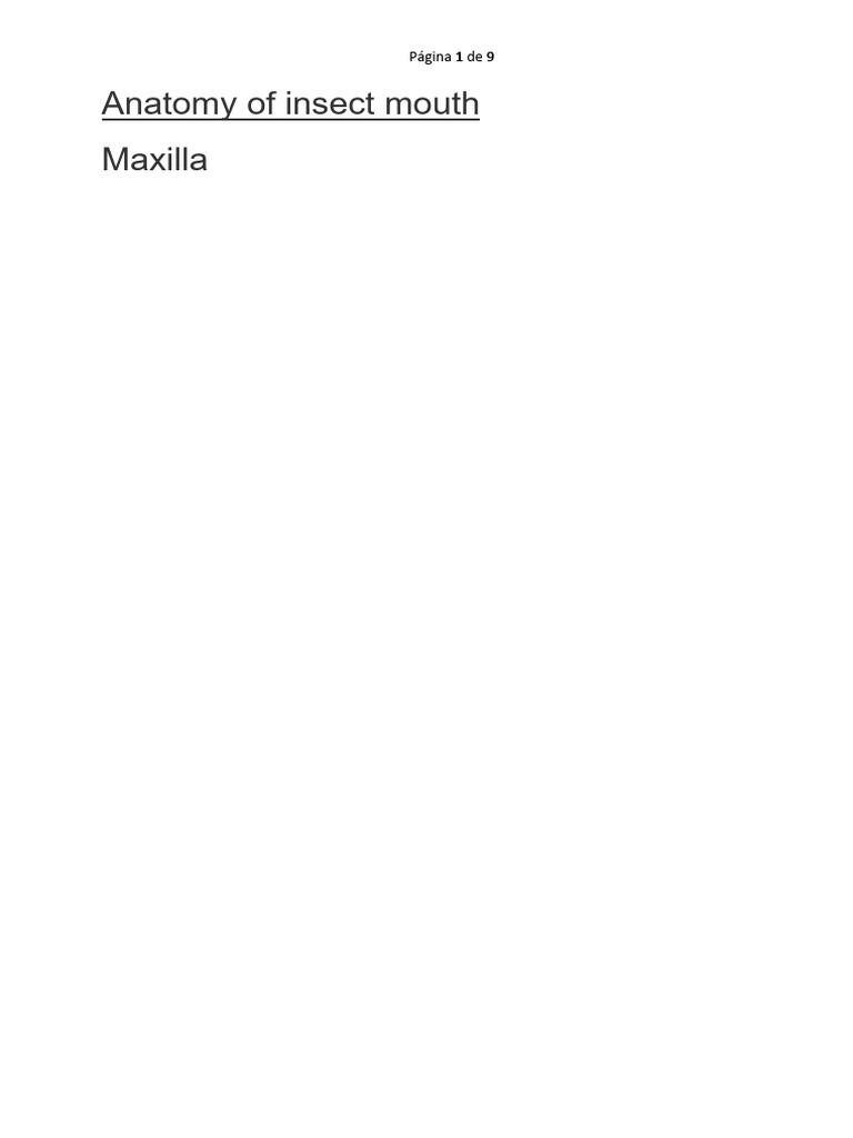 Insect Mouthparts: Structure & Function | PDF | Fly | Insects