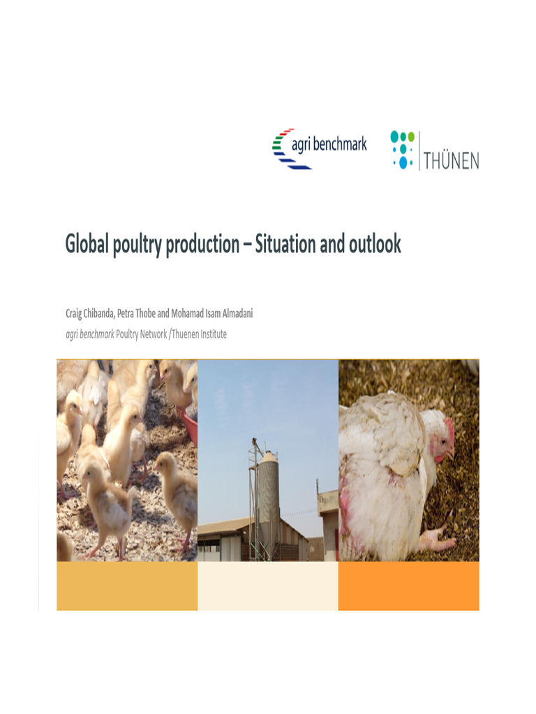 5 GF25 Global Poultry Production | PDF | Avian Influenza | Meat