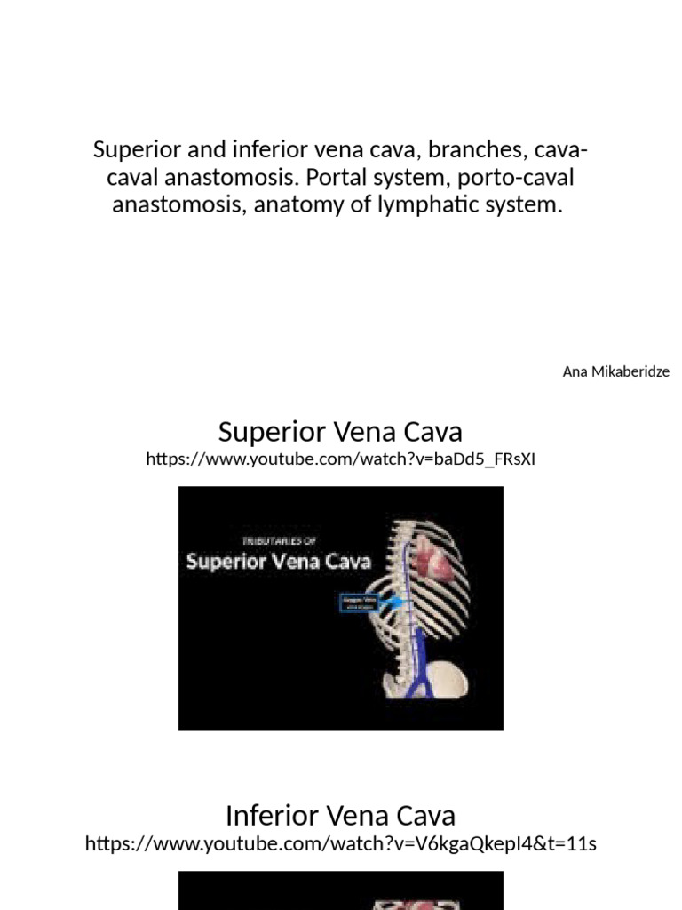 3. Superior and inferior vena cava, branches, cava-caval anastomosis ...