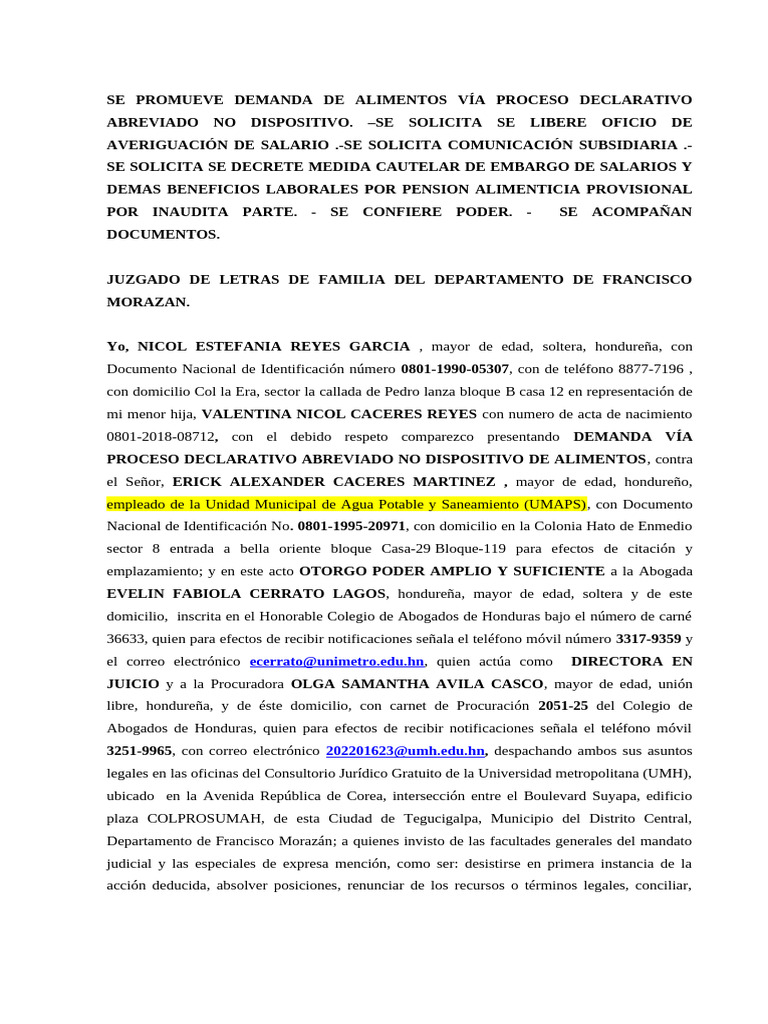 Formatodemanda de Alimentos Por Inaudita Parte | PDF | Demanda judicial ...
