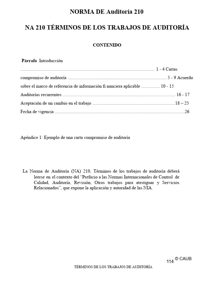 05-NA-210 Términos de Los Trabajos de Auditoría (2) | PDF | Auditoría ...