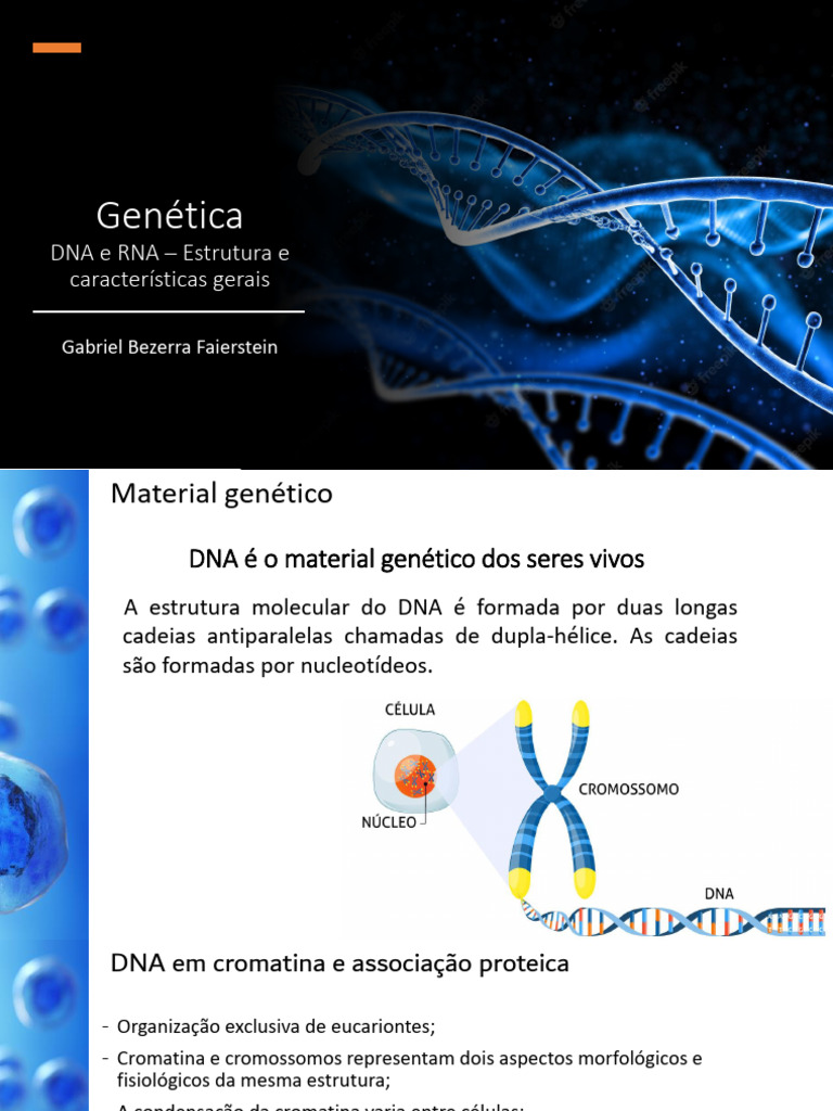 Estrutura e Função do DNA e RNA | PDF | RNA | DNA