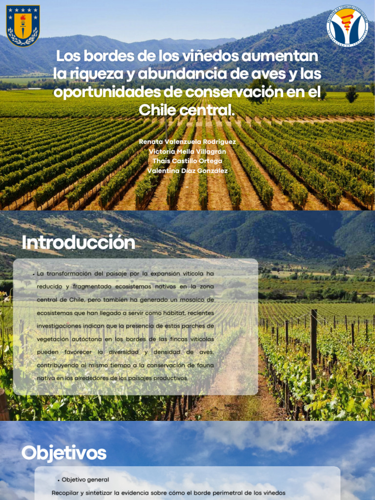 Los Bordes Delos Viñedos Aumentan La Riqueza y Abundancia de Aves en ...