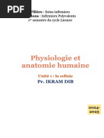 Anatomie du Corps Géniculé Latéral | PDF | Système visuel | Vision
