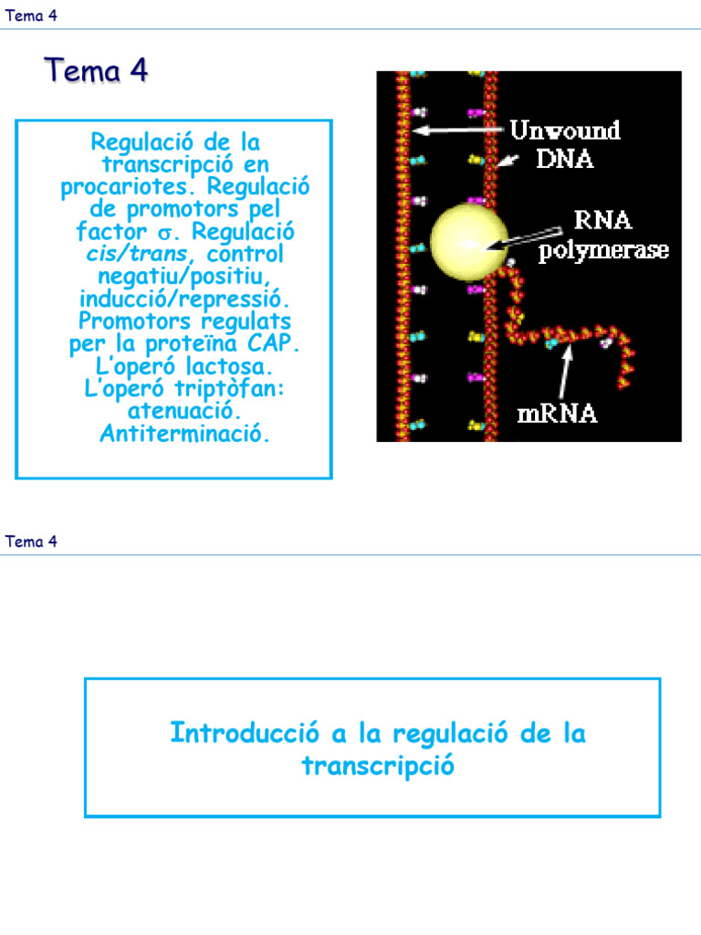 Tema 4 val | PDF