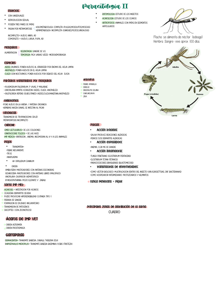 Parásito generalidades | PDF | Mosquito | Insectos