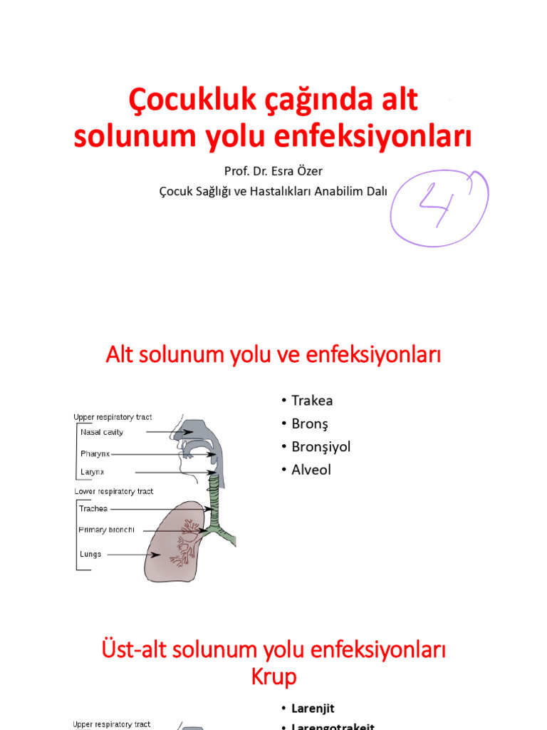 ASYE-dönem 4 | PDF