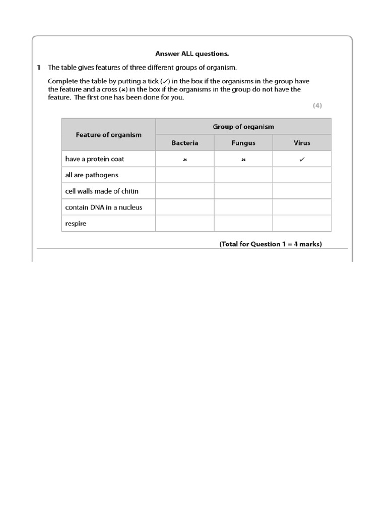 Section A2 Exam Question | PDF