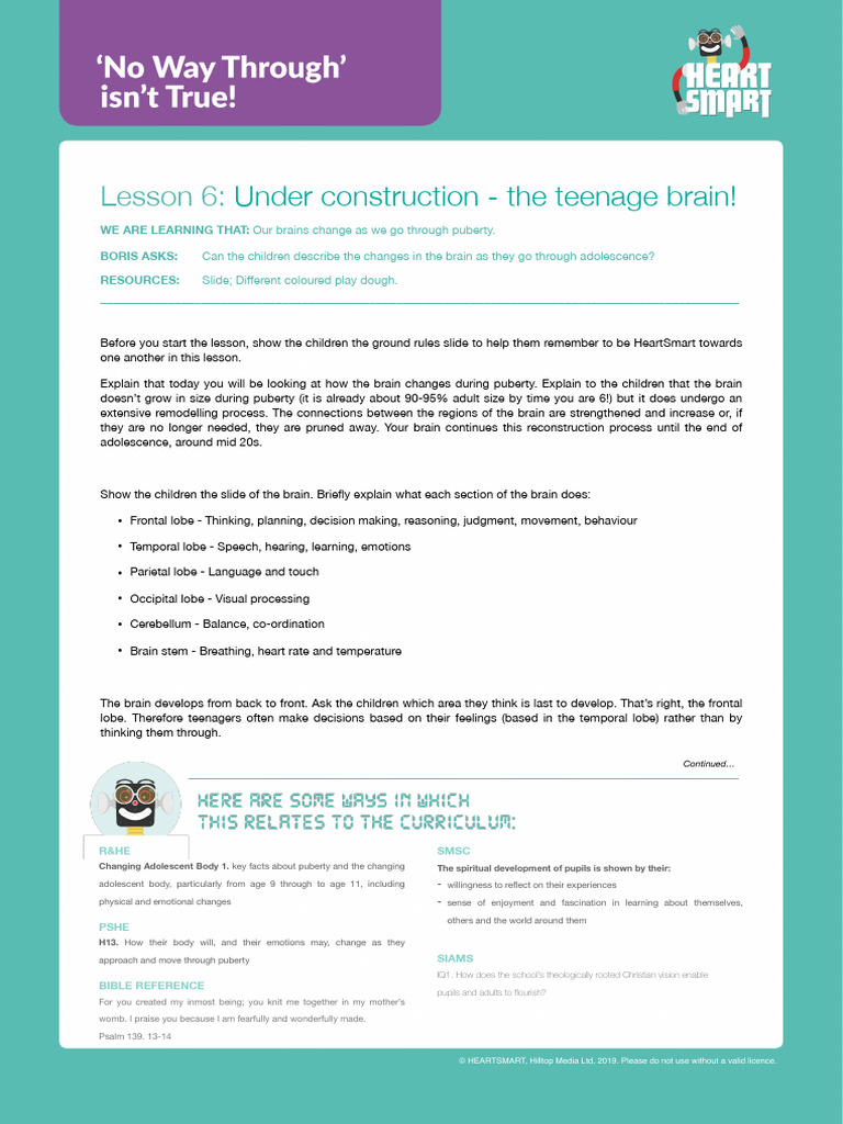 year 6 - under construction- the brain (1) (1) | PDF | Adolescence ...