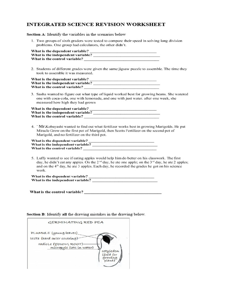 Integrated Science Revision Worksheet | PDF