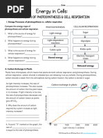 Understanding Compensation Point in Plants | PDF | Photosynthesis ...