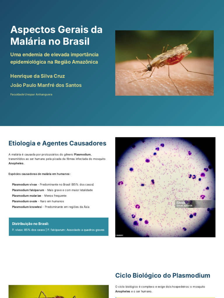 Malária no Brasil: Aspectos e Desafios | PDF | Malária | Plasmodium