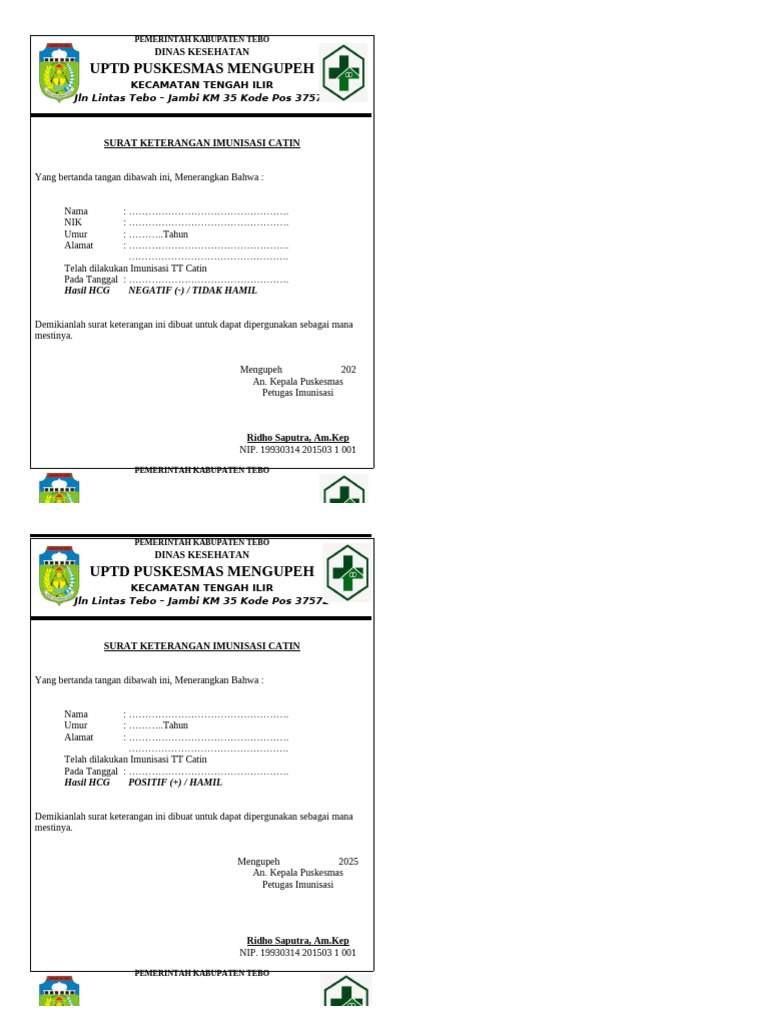 Format Tt Caten | PDF