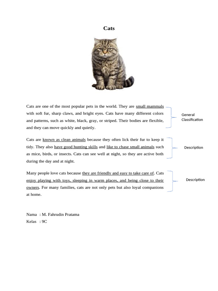 Popular Pet Cats: Characteristics & Care | PDF