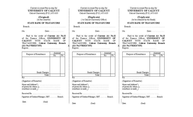 Current Account Pay - in - Slip | PDF