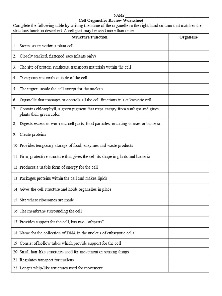 Cell Organelle Review Worksheet 14-15 | PDF | Cell (Biology) | Organelle