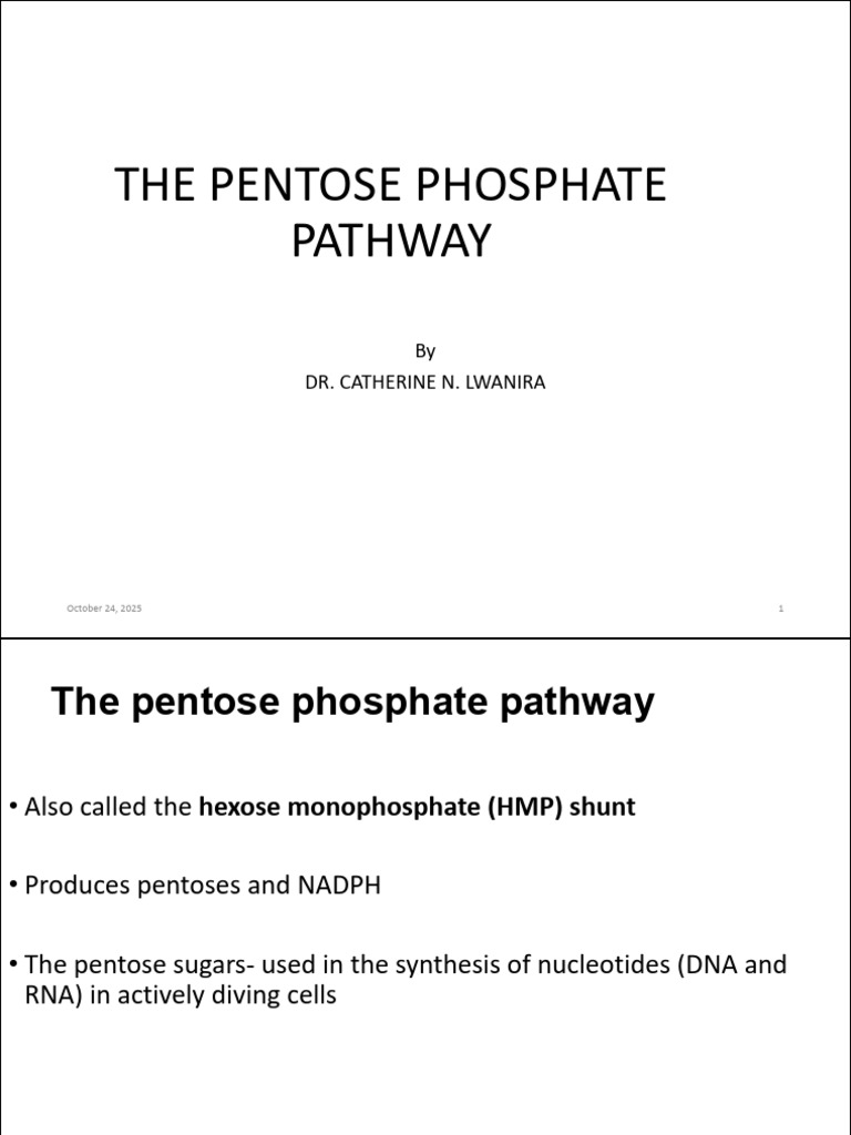 Pentose Phosphate Pathway Overview | PDF