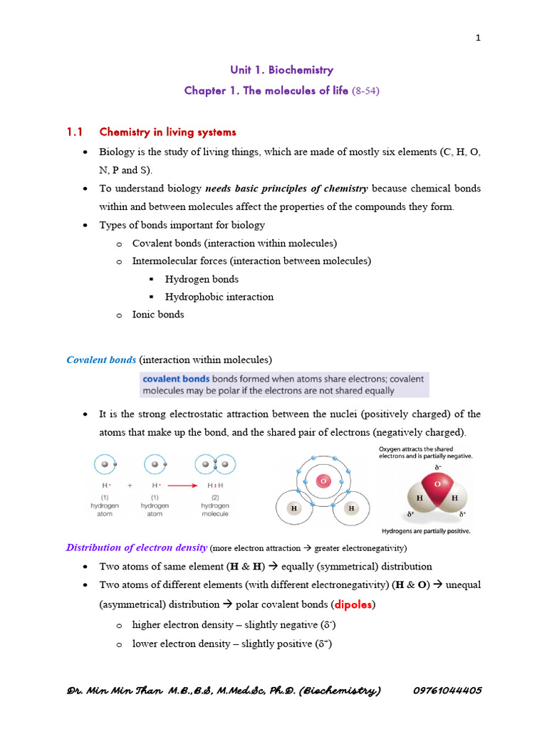 Biochemistry: Molecules of Life Explained | PDF | Nucleotides ...