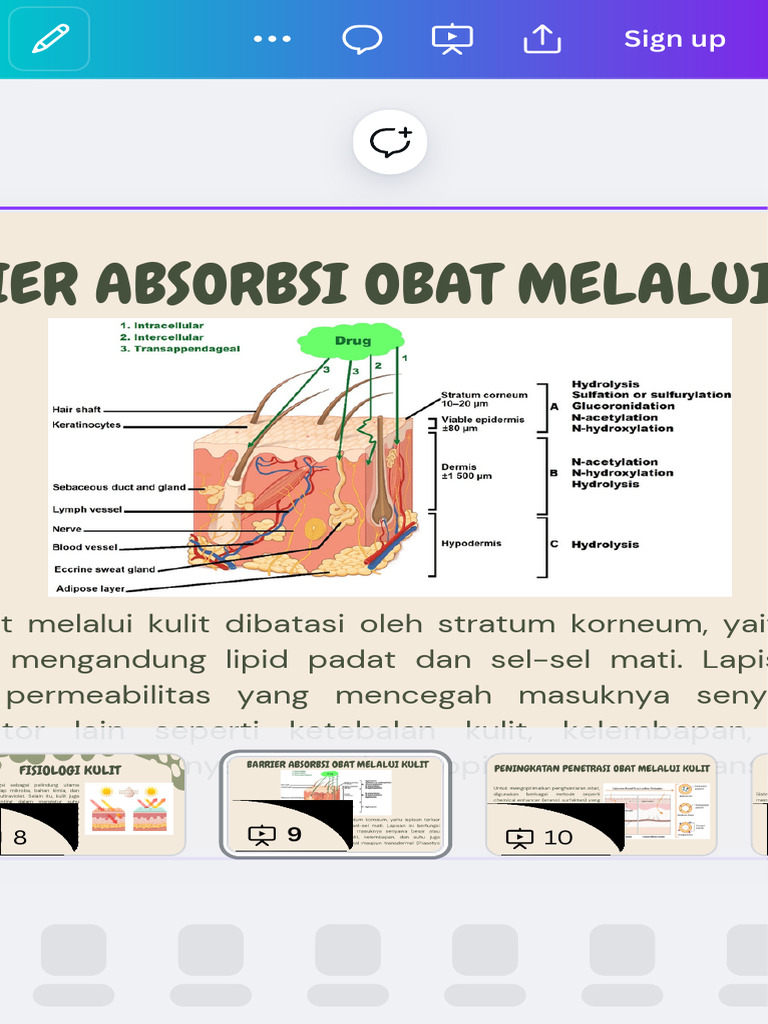 Patofisiologi Dan Absorbansi Obat Melalui Kulit | PDF