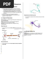 IGCSE Biology: Coordination & Response Notes | PDF