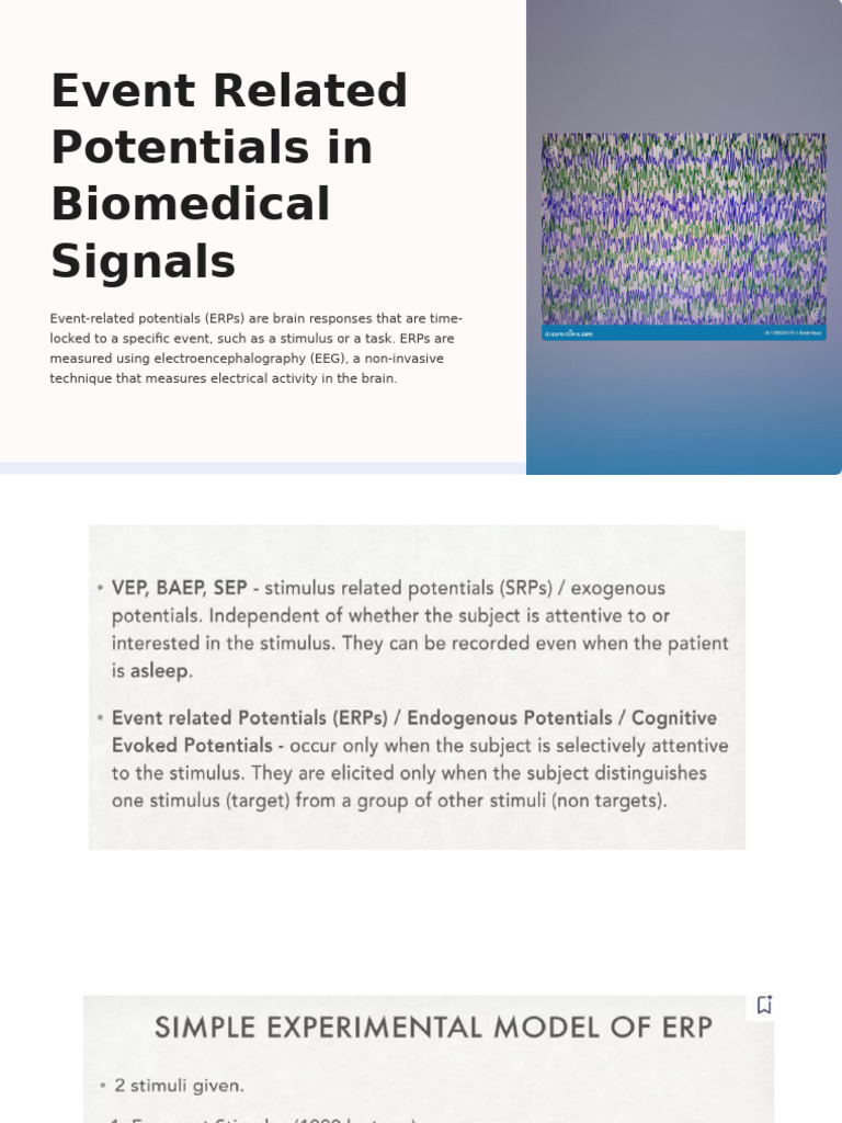 Event Related Potential | PDF