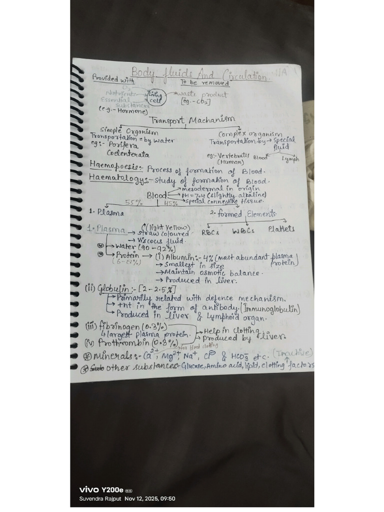 Circulatory System | PDF