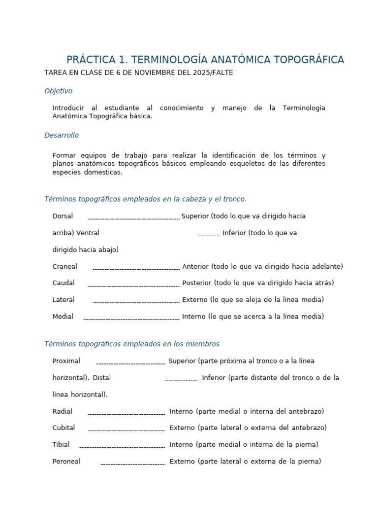 Terminología Anatómica Topográfica | PDF | Términos anatómicos de ...