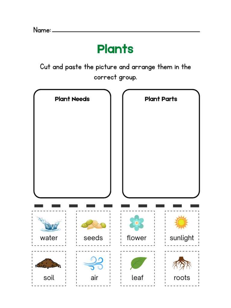 Plants Need and Cycle Science Worksheet | PDF