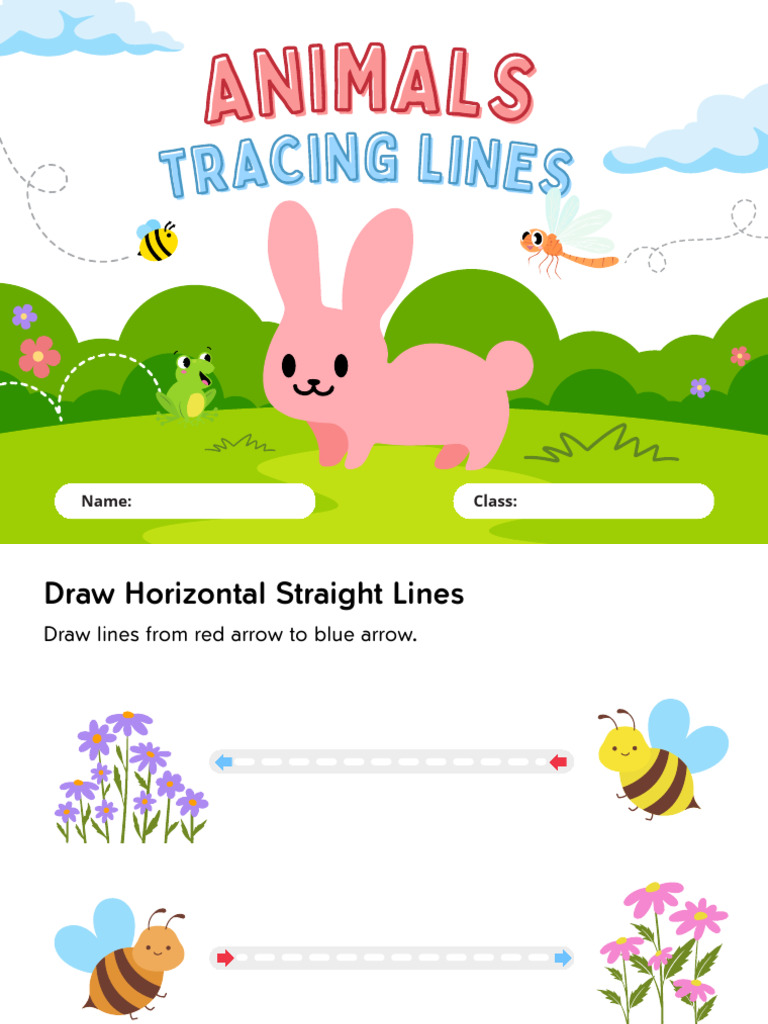 Animals Tracing Lines Activities Workbook Colorful Cartoon Style ...