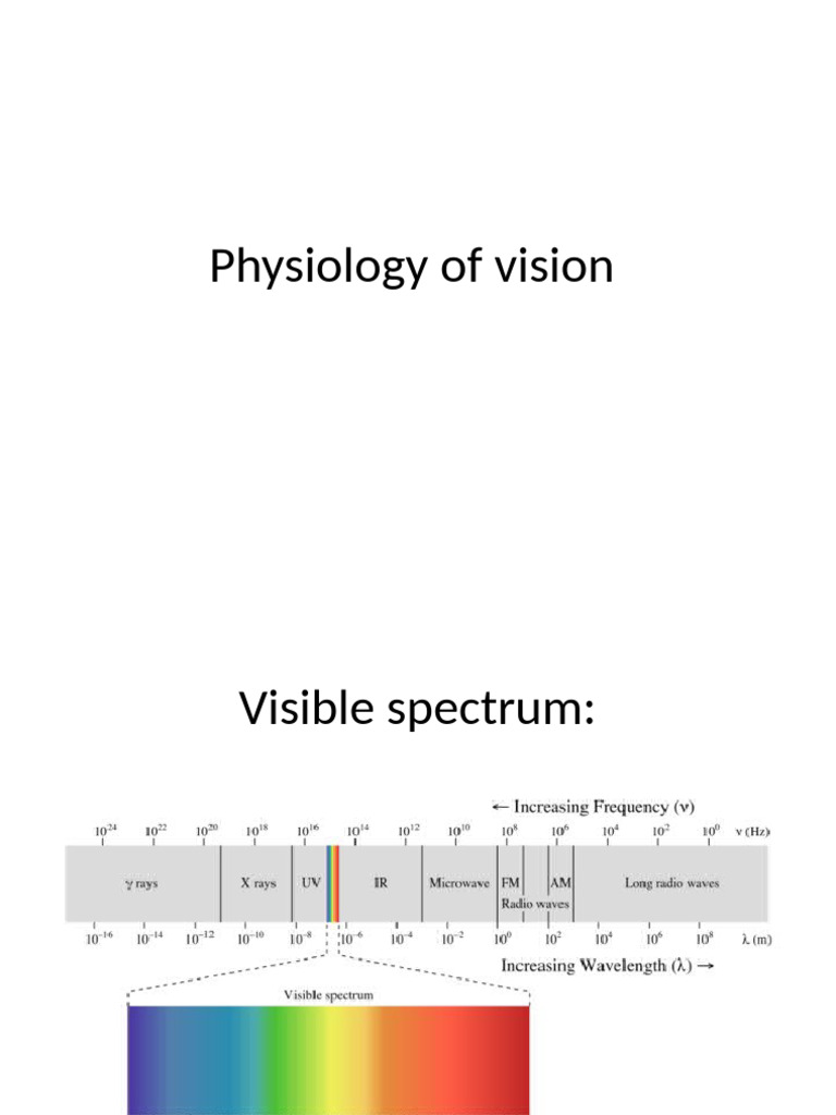 1.2 Physiology of Vision | PDF | Color | Graphic Design
