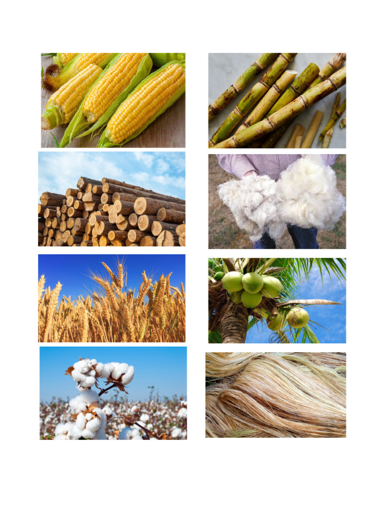 Alliah HW | PDF