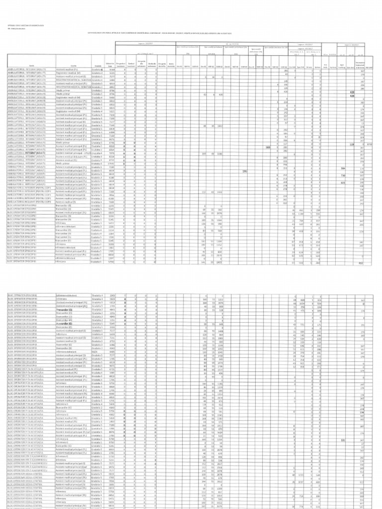 2025 08 Salarii | PDF