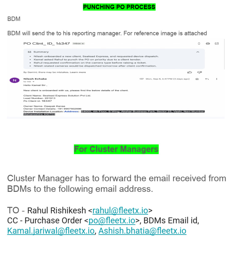 Punching PO Orders Process | PDF