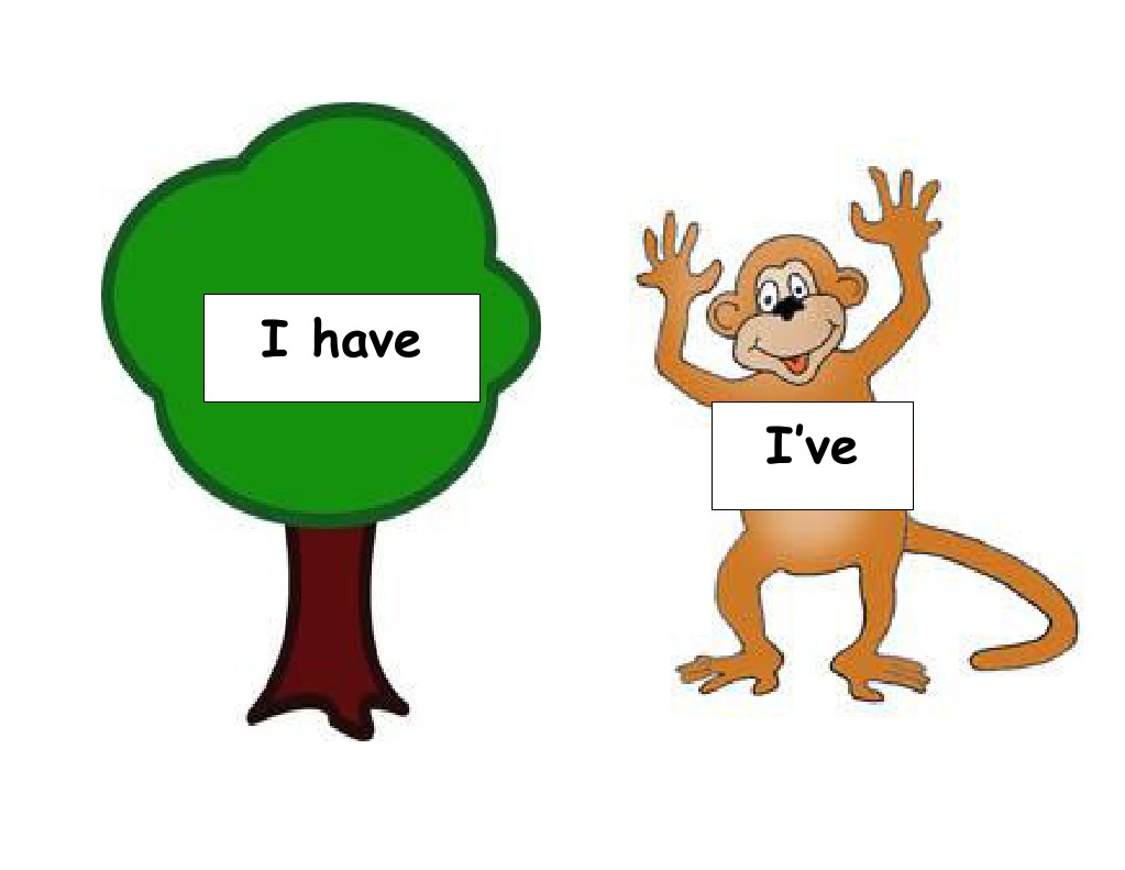 Contractions | PDF