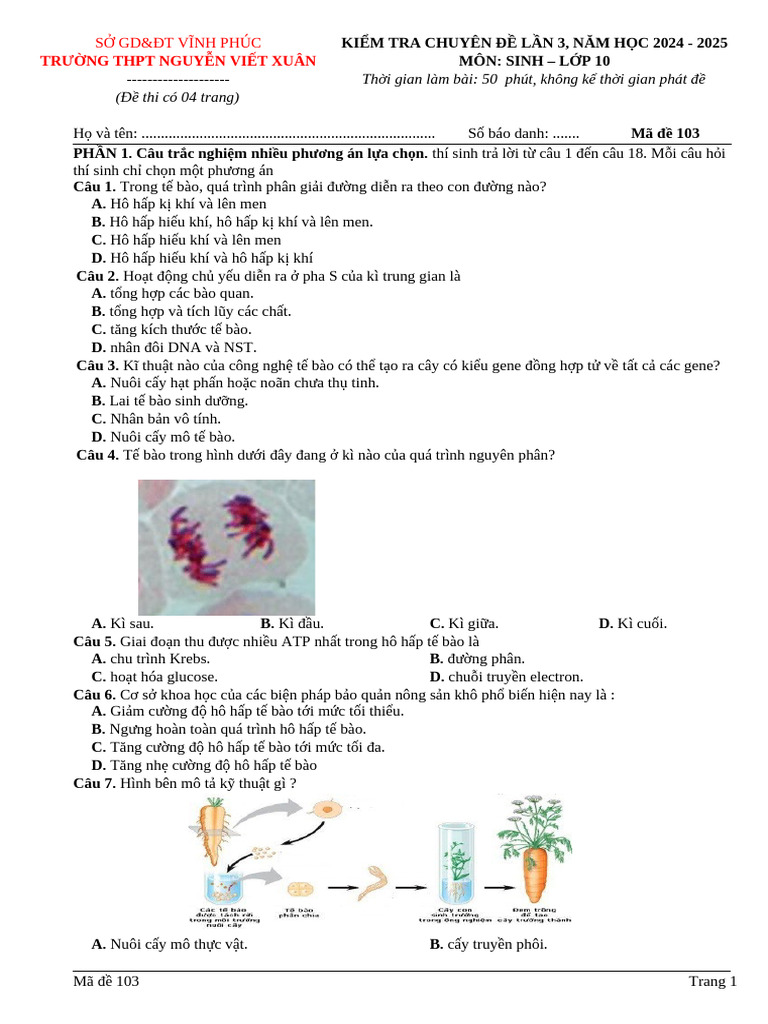 Ma de 103 | PDF