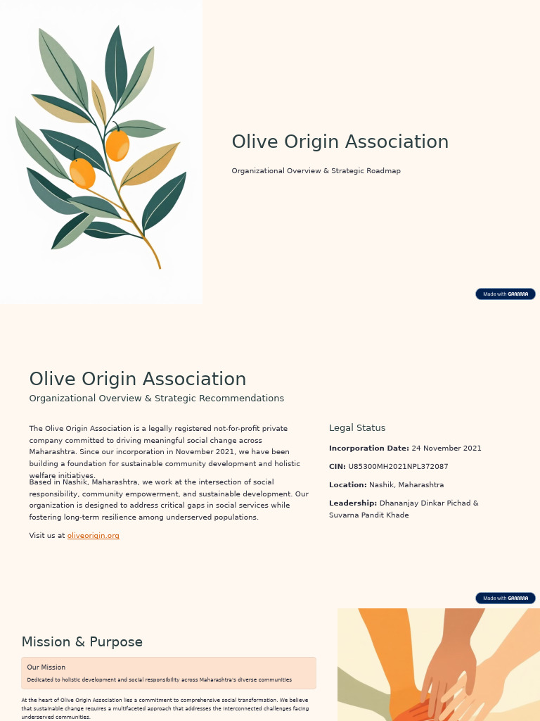 Olive Origin Association: Strategic Overview | PDF | Governance ...