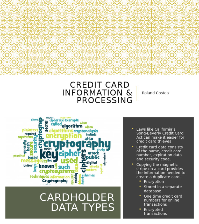 Credit Card Data Security Insights | PDF