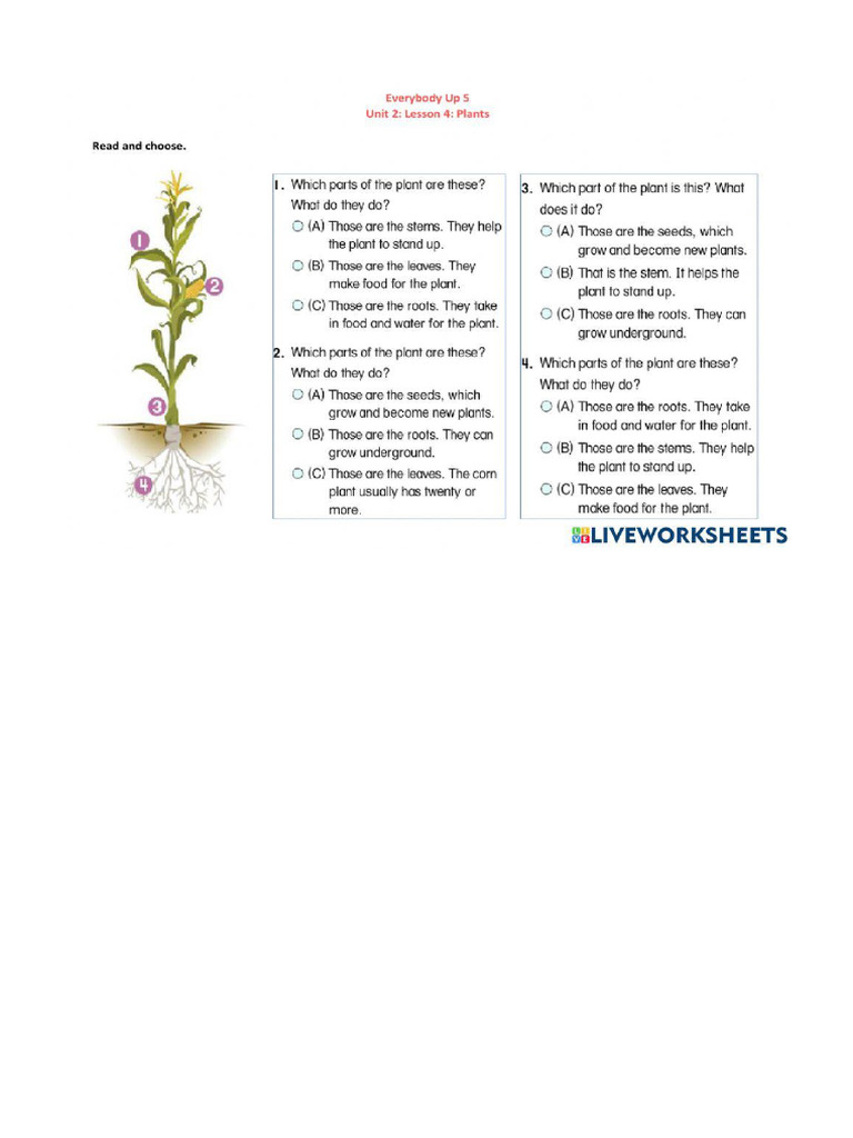 Worksheet 1264405 | PDF