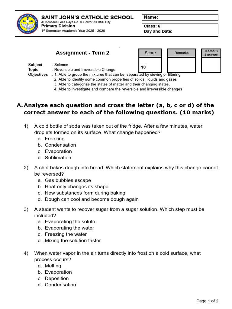 P6 Science Assignment - Term 2 - 2526 | PDF | Applied And ...